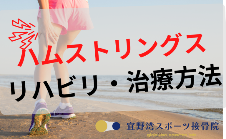 【完全ガイド】ハムストリングス肉離れの原因、症状、治療法、再発予防 ～Askling Protocolによるリハビリ～ | 宜野湾スポーツ接骨 ...